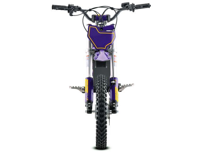 Electric pit bikes | EBOX V3 EBX 60 R PURPLE/GOLD (UK) | Dirt bikes for ...