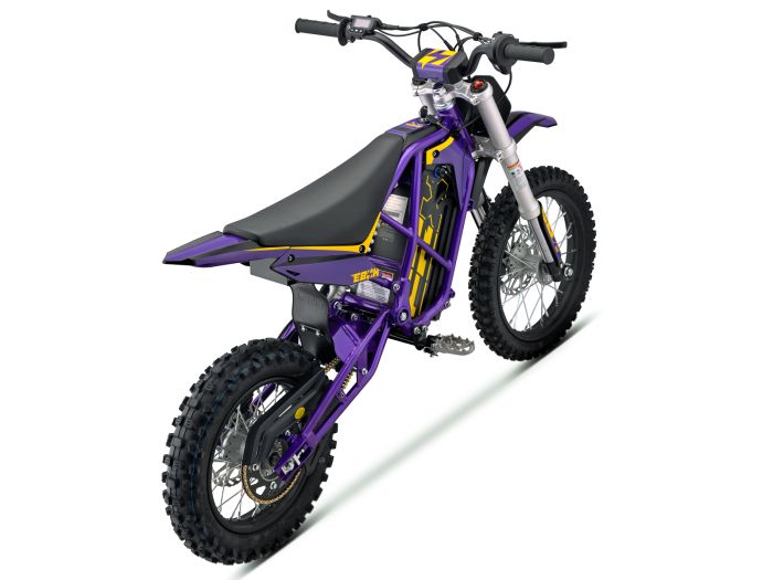 Electric pit bikes | EBOX V3 EBX 60 R PURPLE/GOLD (UK) | Dirt bikes for ...